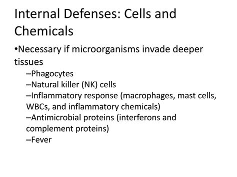 The Immune System Innate And Adaptive Body Defenses Ppt Download