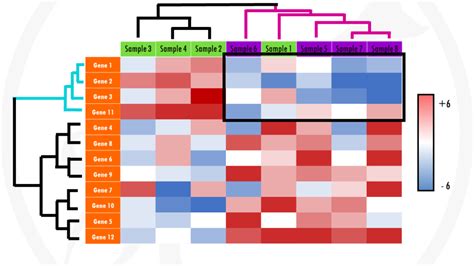 Heatmaps For Gene Expression Analysis Simple Explanation With An