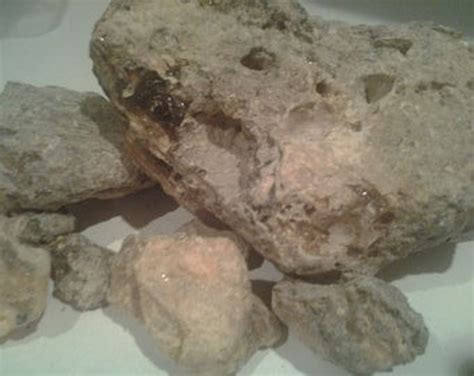 Gum Elemi Resin Etsy