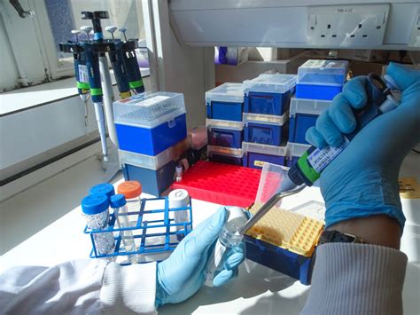 The Lab Of The Future Labcycle