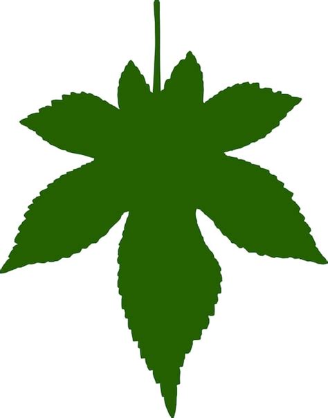 잎 실루엣 아이콘 나무의 잎 프리미엄 벡터