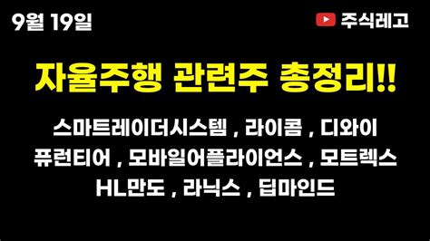 자율주행 관련주들 총정리 스마트레이더시스템 라이콤 디와이 퓨런티어 모바일어플라이언스 모트렉스 Hl만도 라닉스 딥마인드 주식차트 주식공부 주식