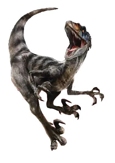 Velociraptor Jurassic World Rebirth Render By Burngoji On Deviantart