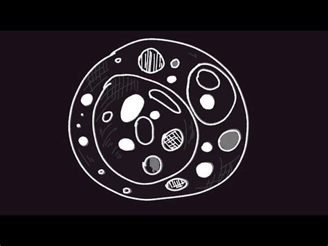 Understanding Scoped Services Lifetime In Asp Net Core Galaxy Ai Galaxy Ai