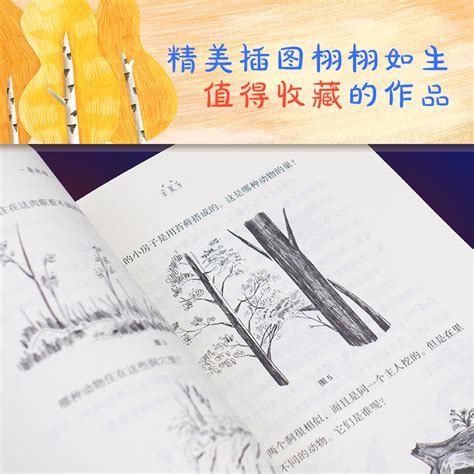 森林报全译本 精美手绘插图版 全4册 苏 维塔利比安基著周露译科普百科少儿新华书店正版图书籍四川文艺出版社 虎窝淘