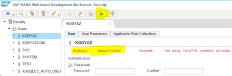 Activate Sap Hana Database User On Web Based Development Workbench