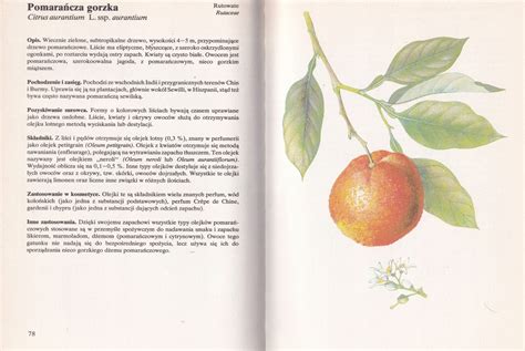 ROŚLINY KOSMETYCZNE 206 barwnych tablic - 12435639595 - oficjalne ...