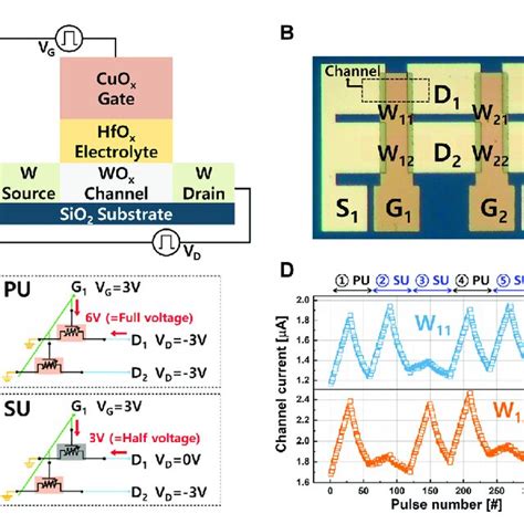 A Schematic Diagram Of Unit Ecram Device And B Optical Microscopic Download Scientific
