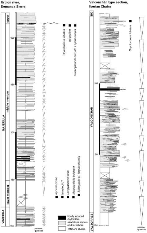 Facies Fossiliferous Levels And Sequence Stratigraphic Framework Of Download Scientific