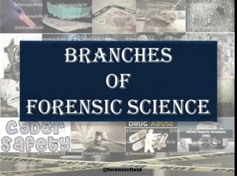 Branches Of Forensic Science Forensics Blog