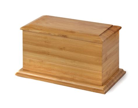 Contemporary Casket Cherished Companion