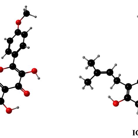 Ic2 Increases Lc3b Ii Expression And Gfp Lc3 Puncta Formation In Breast Download Scientific