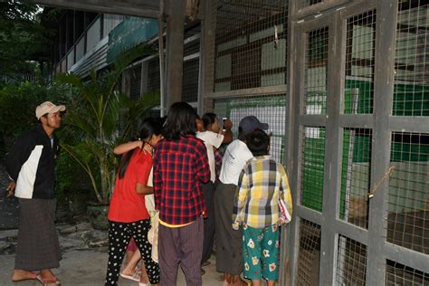 မတ္တရာမြို့နယ်တွင် ၂၀၂၃ ခုနှစ် တက္ကသိုလ်ဝင်စာမေးပွဲ အောင်စာရင်းများထုတ်ပြန် Information And