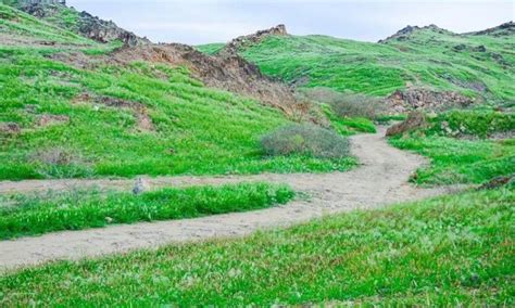 جبال مكة تتحول لـ جنة خضراء فيديو وصور مبتدا