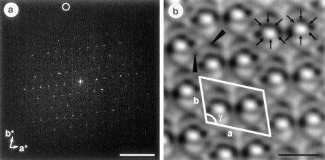 Computed Diffraction Pattern A And Corresponding Correlation Average Download Scientific