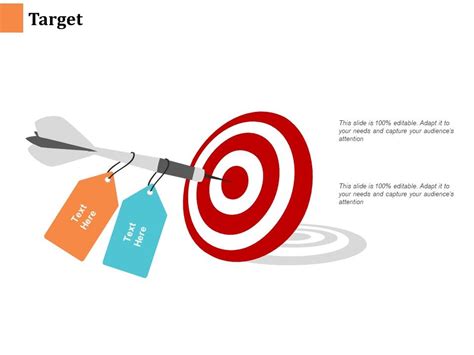 Target Ppt Powerpoint Presentation Portfolio Example