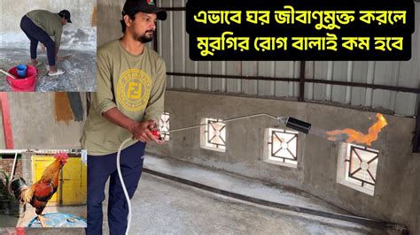 এভাবে ঘর জীবাণুমুক্ত করলে মুরগির রোগ বালাই কম হবে Youtube