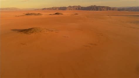 Central Desert The Future Is Wild Wiki Fandom