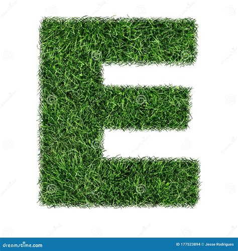 Letter Of Grass Alphabet Grass Letter E Isolated On White Background Symbol With The Green