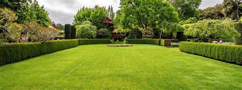 Grass Seed Calculator Easy To Use Grass Seed Online