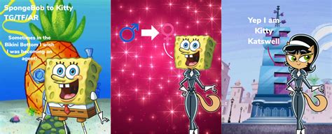Spongebob To Kitty Tg Tf Ar By Markpipi On Deviantart