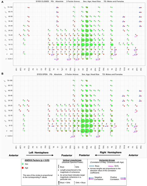 Frontiers Comparison Of Comprehensive Quantitative Eeg Metrics Between Typically Developing