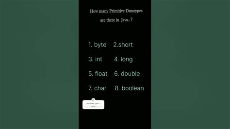 Basic Java Program 2 Datatypes Coder Java Software Shorts