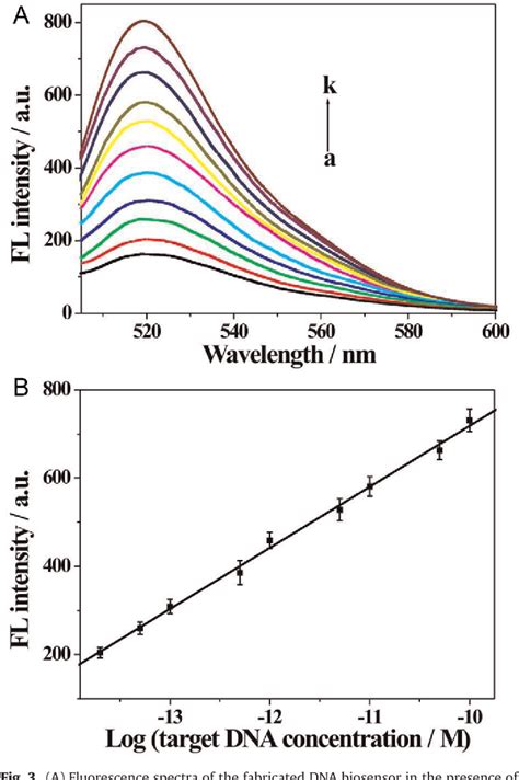 Figure 3 From Highly Sensitive Fluorescence Detection Of Target Dna By Coupling Exonuclease