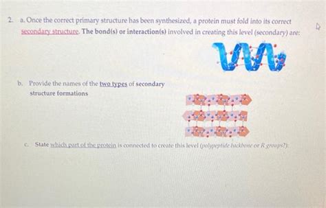 Solved 2 A Once The Correct Primary Structure Has Been