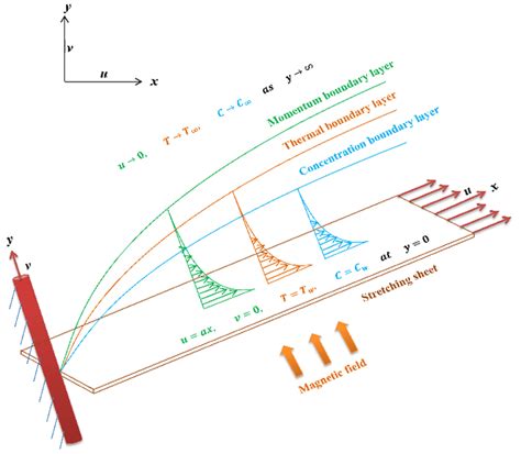 Analyzed Geometry With Boundary Conditions And Coordinates Download Scientific Diagram