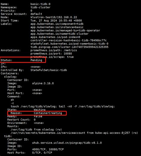 k s中安装tidb operator组件运行不符合预期 TiDB 的问答社区
