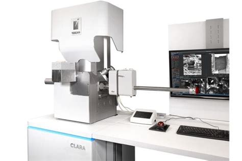 Scanning Electron Microscope Image Science