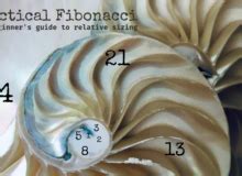 Practical Fibonacci The Journey To Predictability Part II Amplify Agility