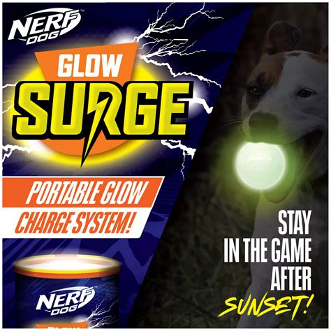 Nerf Dog™ Glow Translucent Blaster Dog Toy