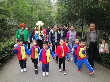 2023幼儿园春游活动方案模板幼儿园春游策划方案范本 我爱育娃