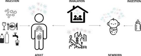 微塑料：通过空气、水和食物进行人体暴露评估 Environment International X Mol