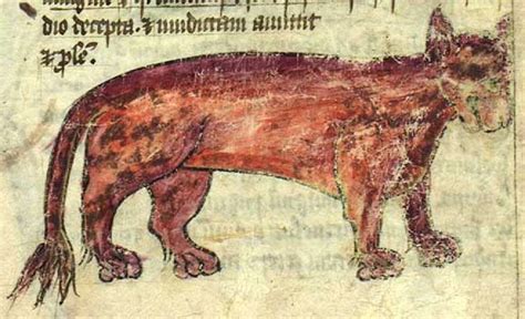 Pard Cryptid Wiki Fandom