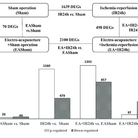 Bioinformatic Analysis Of The Differentially Expressed Genes Degs