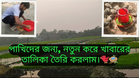 পাখিদের জন্য নতুন করে খাবারের তালিকা তৈরি করলাম।🐦🪺🐦 Youtube