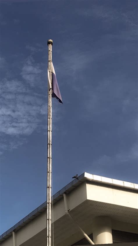 รูปภาพที่ส่งเข้าประ สภานักเรียน โรงเรียนกัลยาณีศรีธรรมราช Facebook