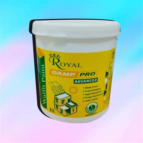 Walfit Royal Damp Pro 1 Ltr At ₹ 325litre In Chennai Id 2853526238391