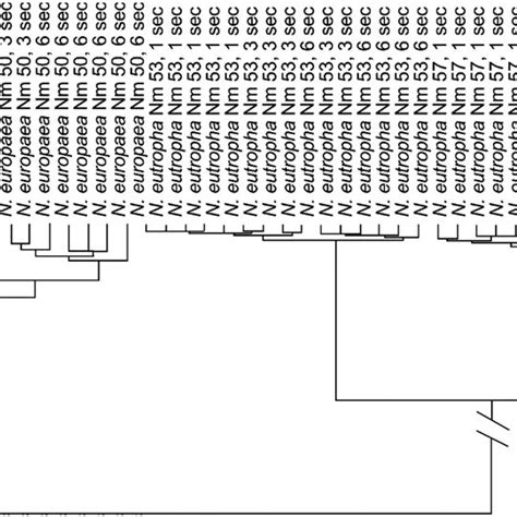 The Spectral Heterogeneity Of Hierarchical Clustering Is Strongly Download Scientific Diagram