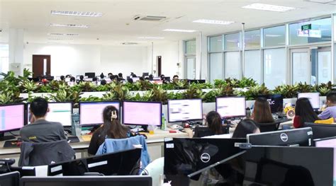 Survey Data Processing Services Maximize Your Data Management