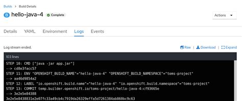 Create A Docker Build Pipeline With Jenkins On Openshift Tutorial Works