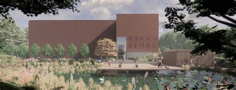 Fossil Echinoderm Collection Natural History Museum