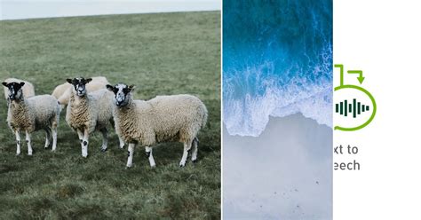 List Audio Curated By Ross Medium