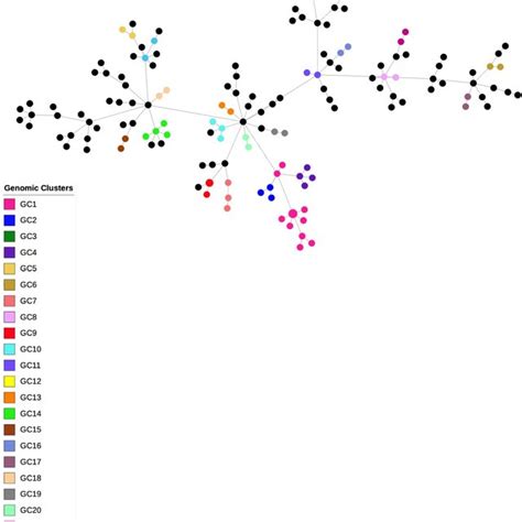 Minimum Spanning Tree Mst Of The 151 Mtb Clinical Isolates Included