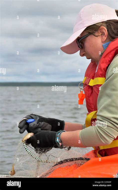 Gill Net Research Stock Photo Alamy