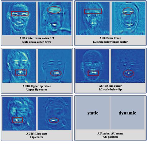 Figure 1 From Toward Robust Facial Action Units Detection Semantic Scholar