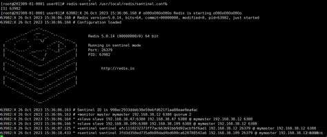 【linux】麒麟v10安装redis哨兵集群（arm架构）redis Arm Csdn博客